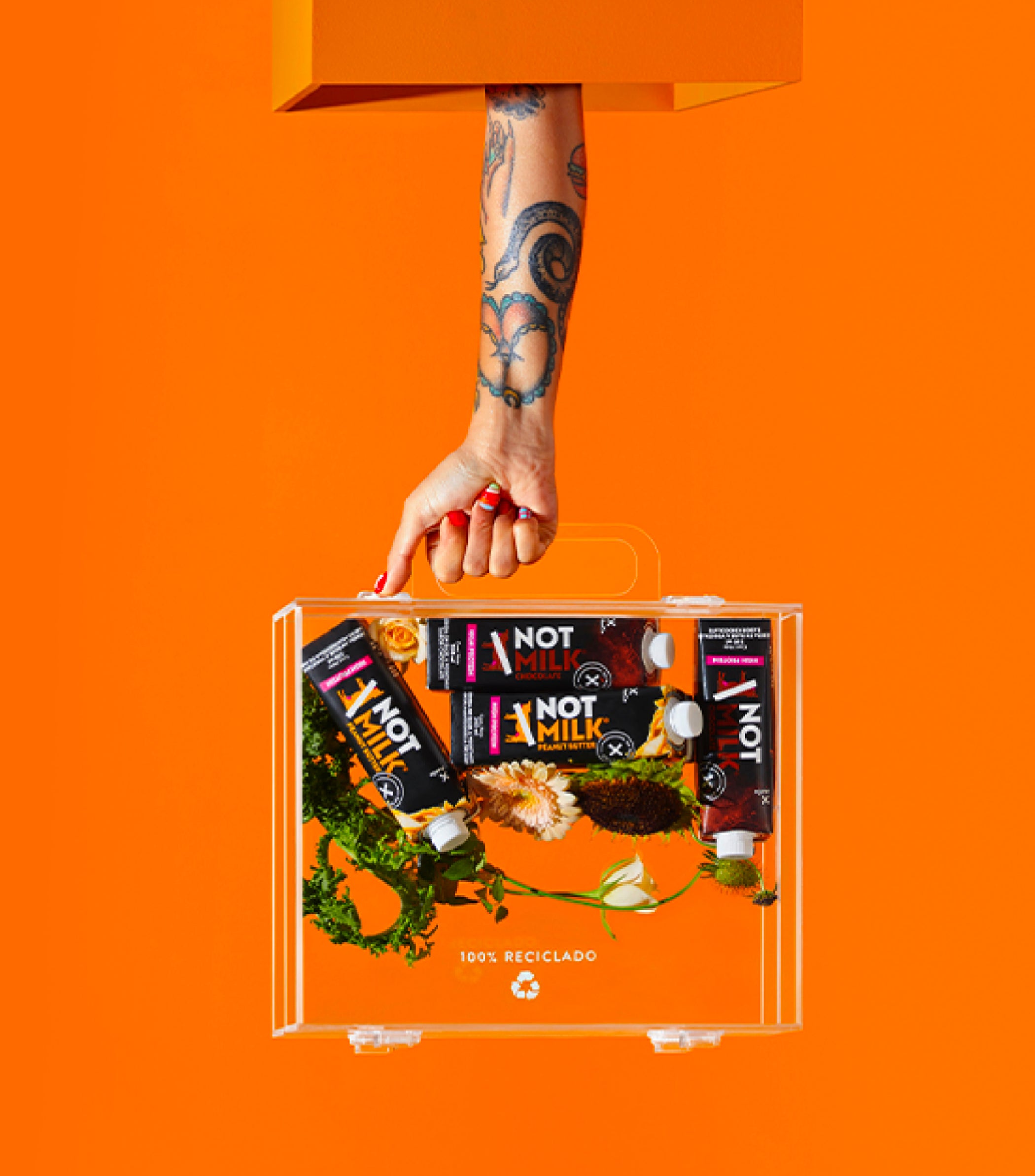 NotChori 240g Chorizo Vegetal – Tienda NotCo